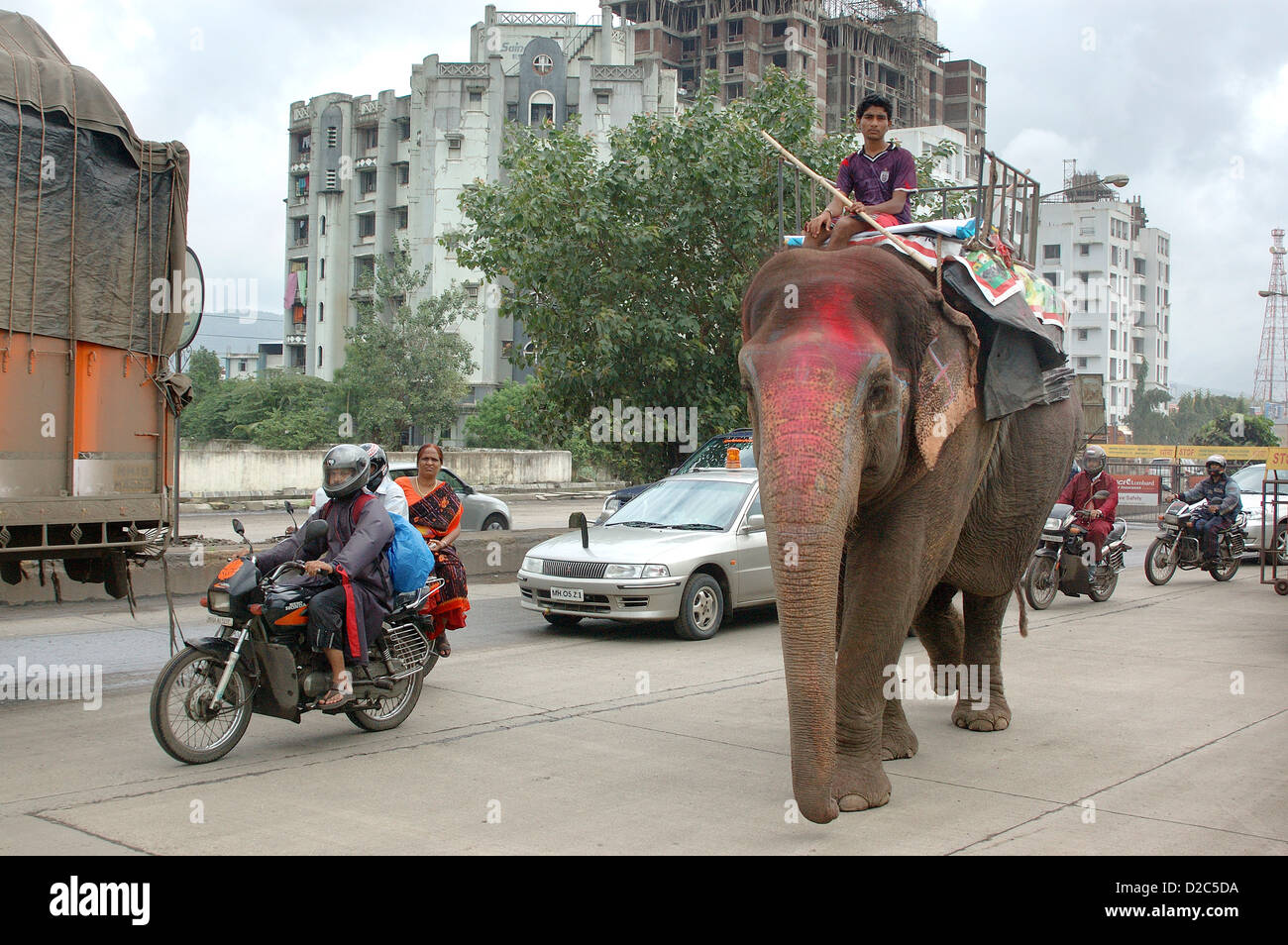 Elephant With Mahut On The Eastern Express Highway Near Mulund, Bombay ...