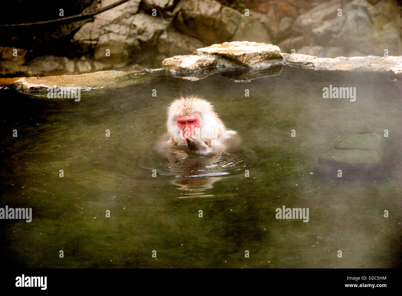 Japan hot spring water hi-res stock photography and images - Alamy