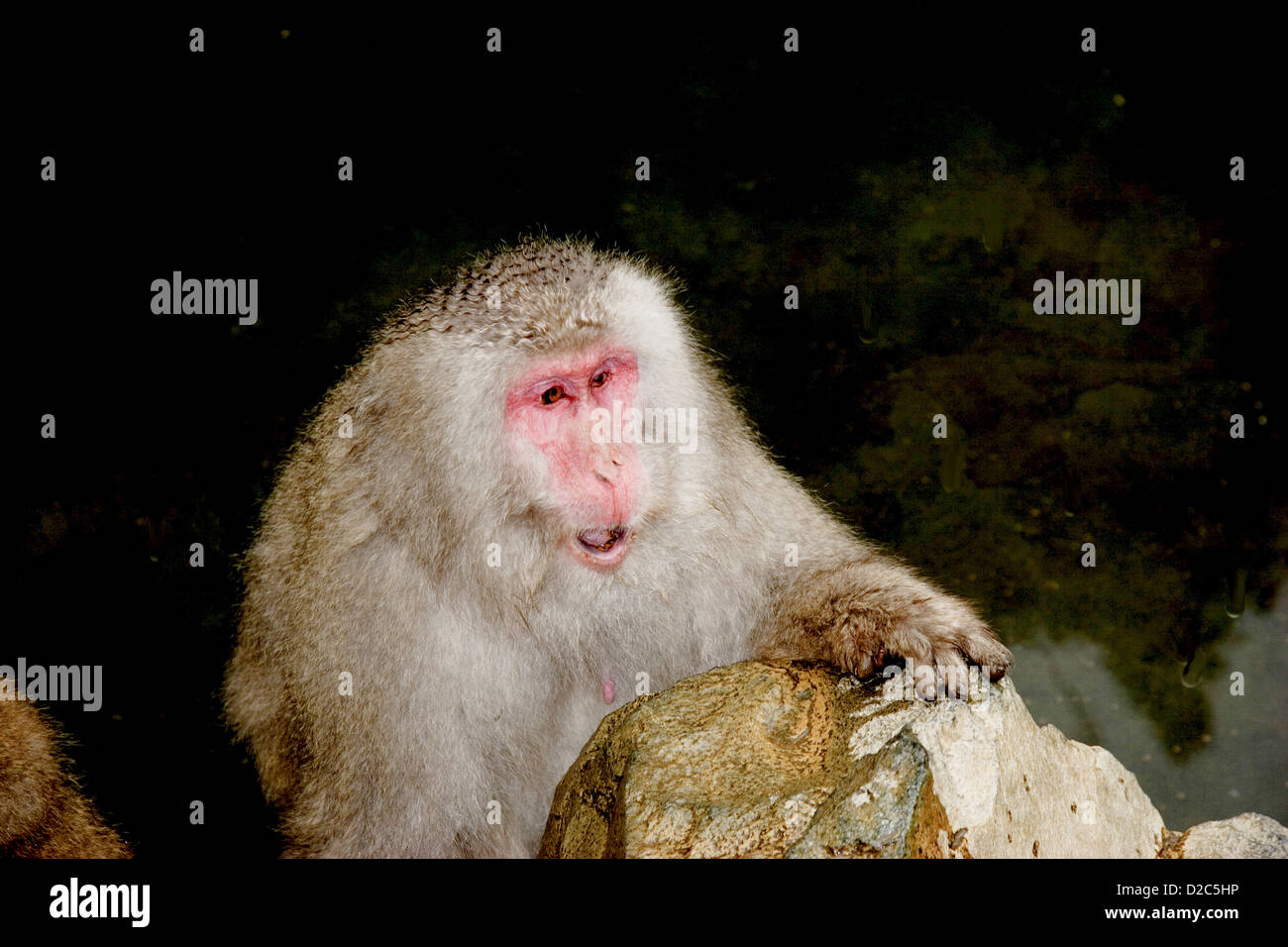 Japanese black white hi-res stock photography and images - Alamy