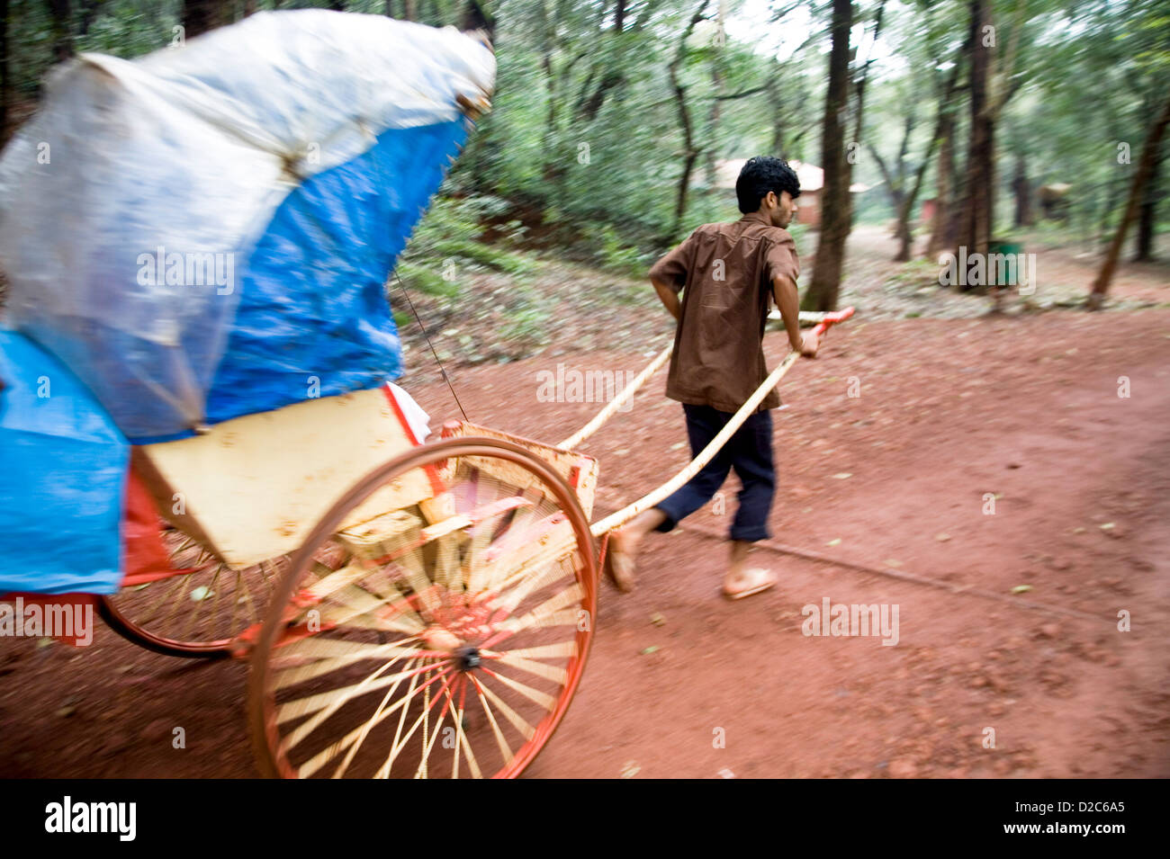 Man Pulling Hand Rickshaw On Forest Road, Matheran, India Stock Photo ...