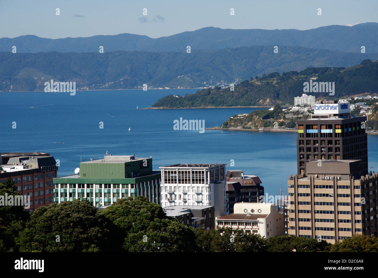 Wellington botanic gardens hi-res stock photography and images - Alamy