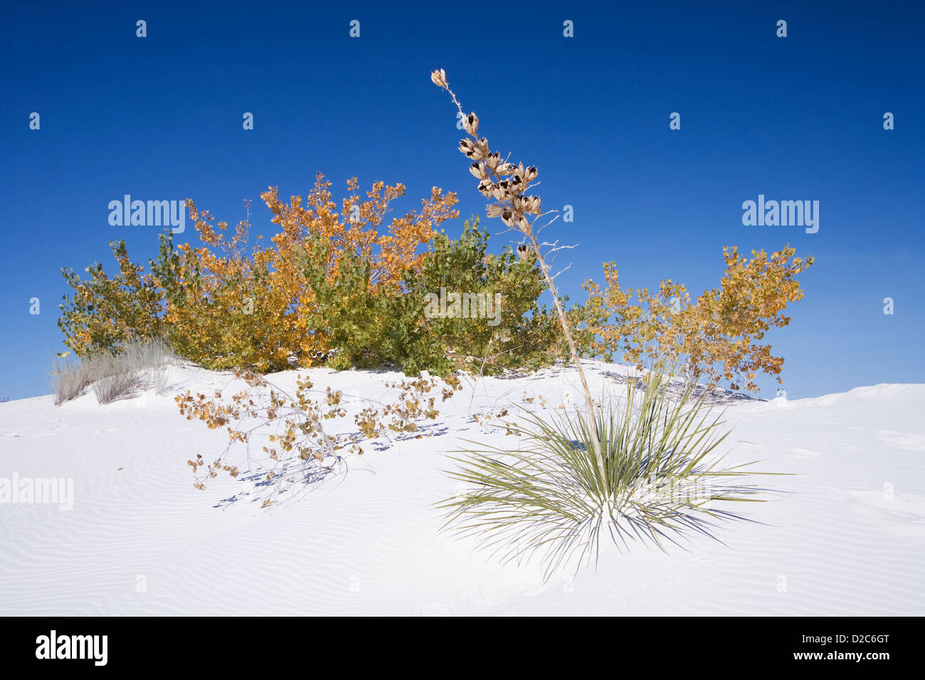 30 foot high hi-res stock photography and images - Alamy