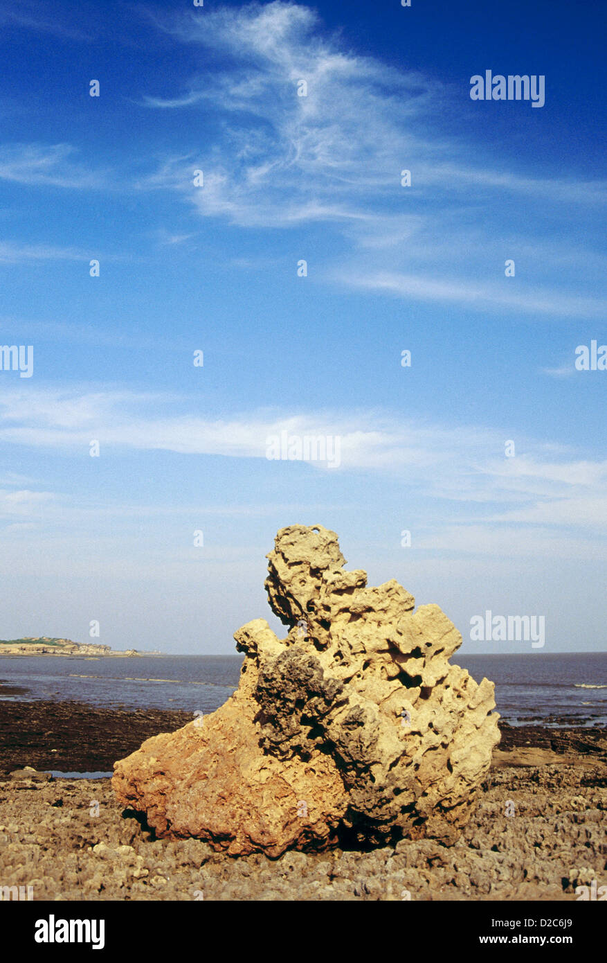 Sea Stack At Saurashtra, Gujarat, India Stock Photo - Alamy