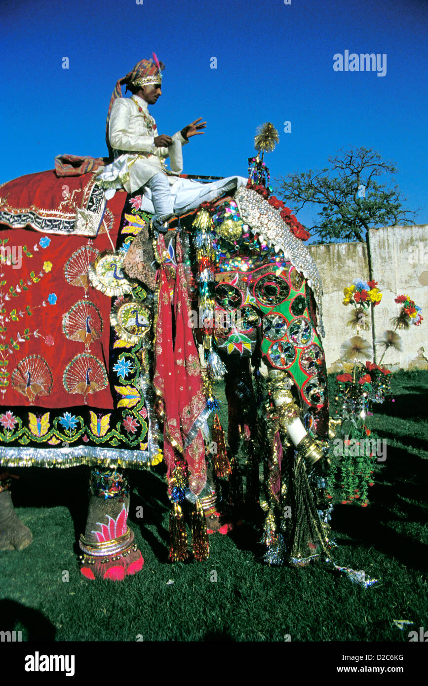 Riding elephant india hi-res stock photography and images - Alamy