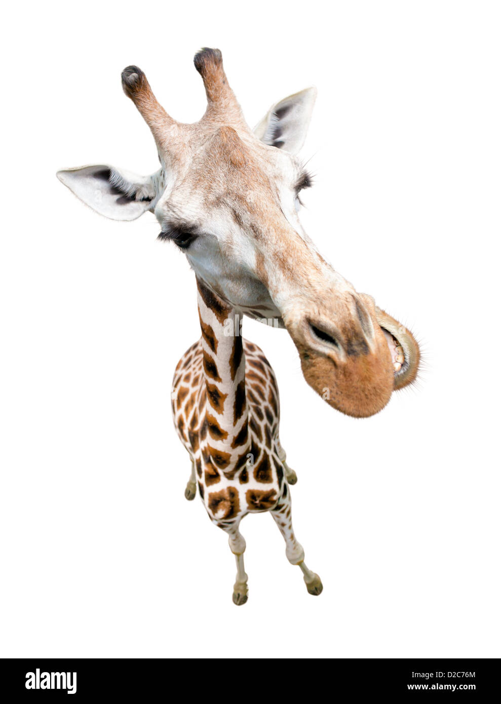 Big eyes lens Cut Out Stock Images & Pictures - Alamy