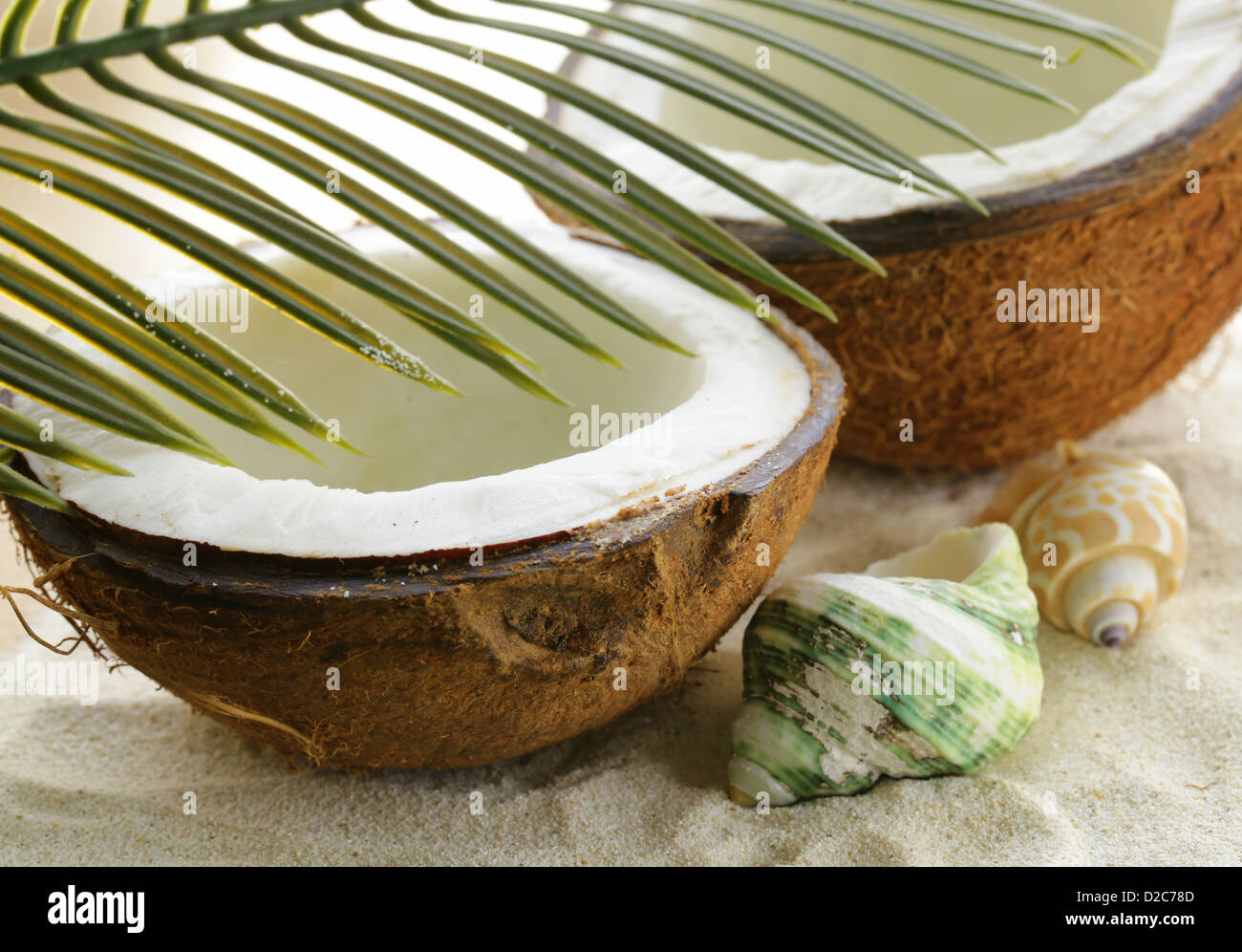 half a fresh coconut Stock Photo - Alamy