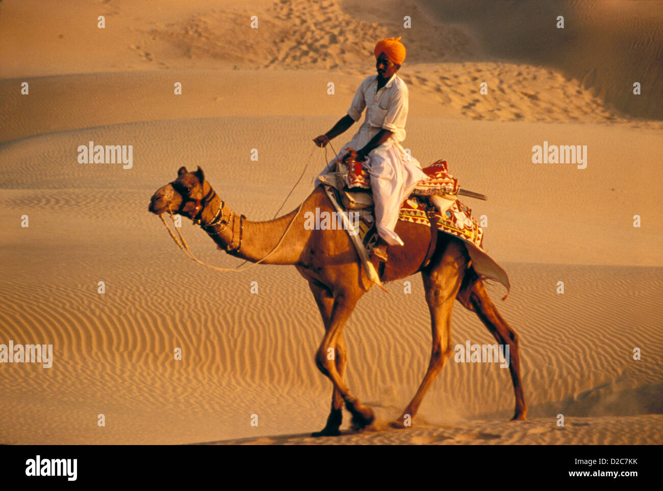 India, Rajasthan, Man Riding Camel In The Desert Stock Photo - Alamy