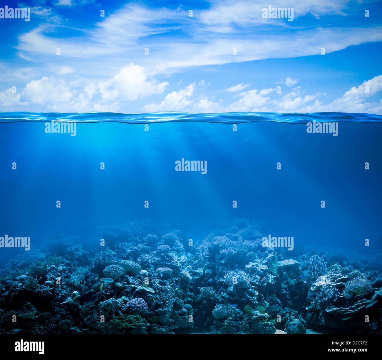 Underwater coral reef seabed view with horizon and water surface split ...