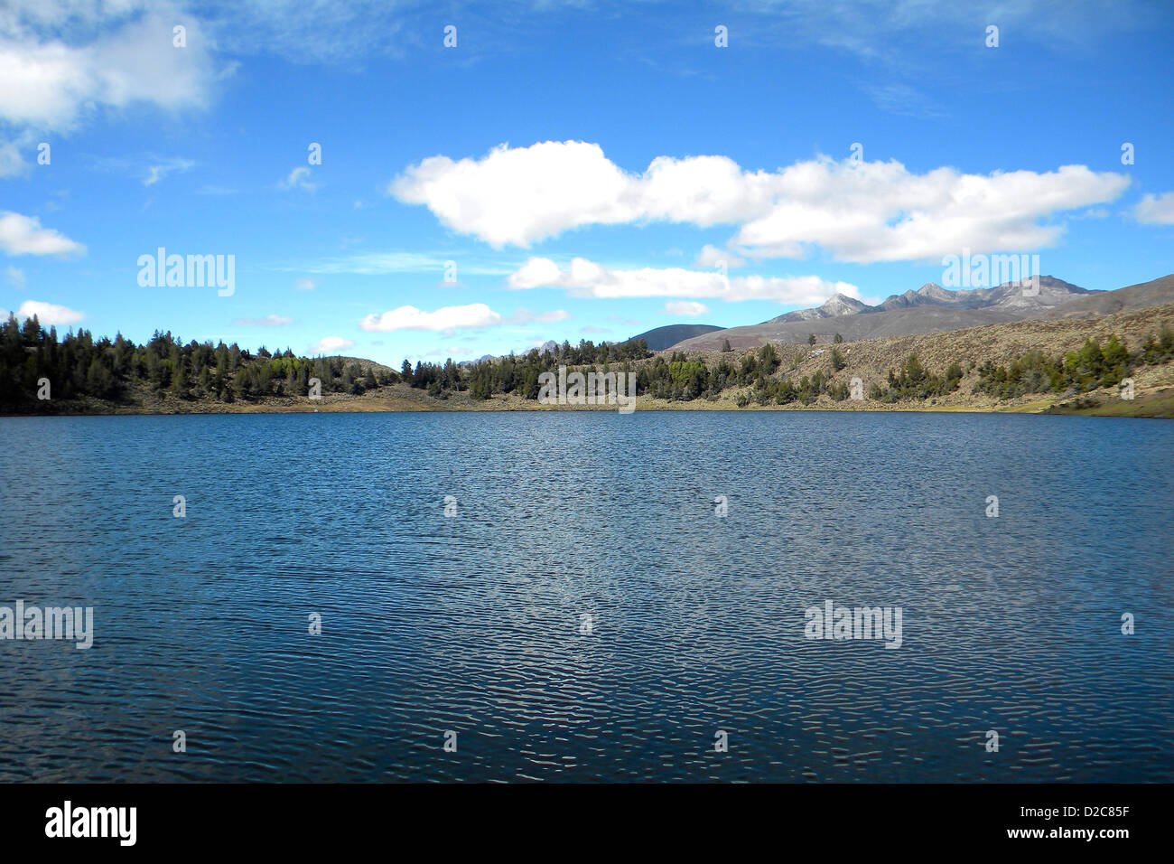 Venezuela, Merida, andes mountain lake Stock Photo - Alamy