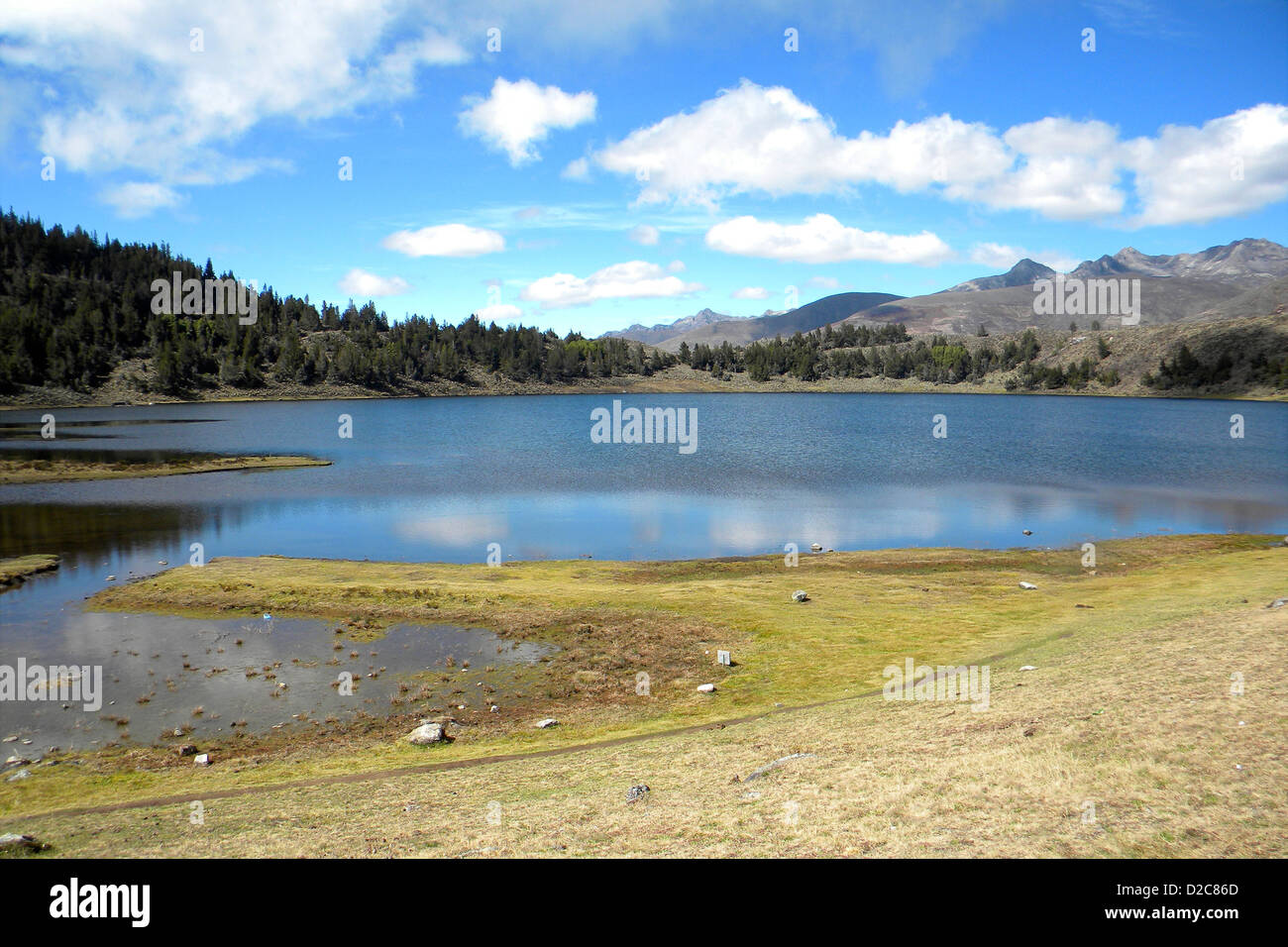Venezuela, Merida, andes mountain lake Stock Photo - Alamy