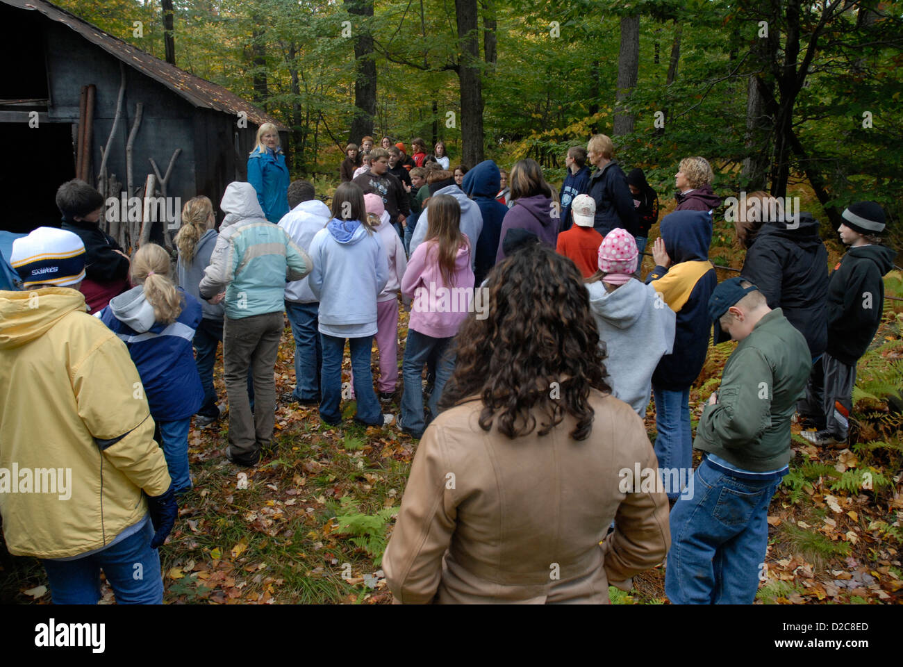 School of the woods hi-res stock photography and images - Alamy