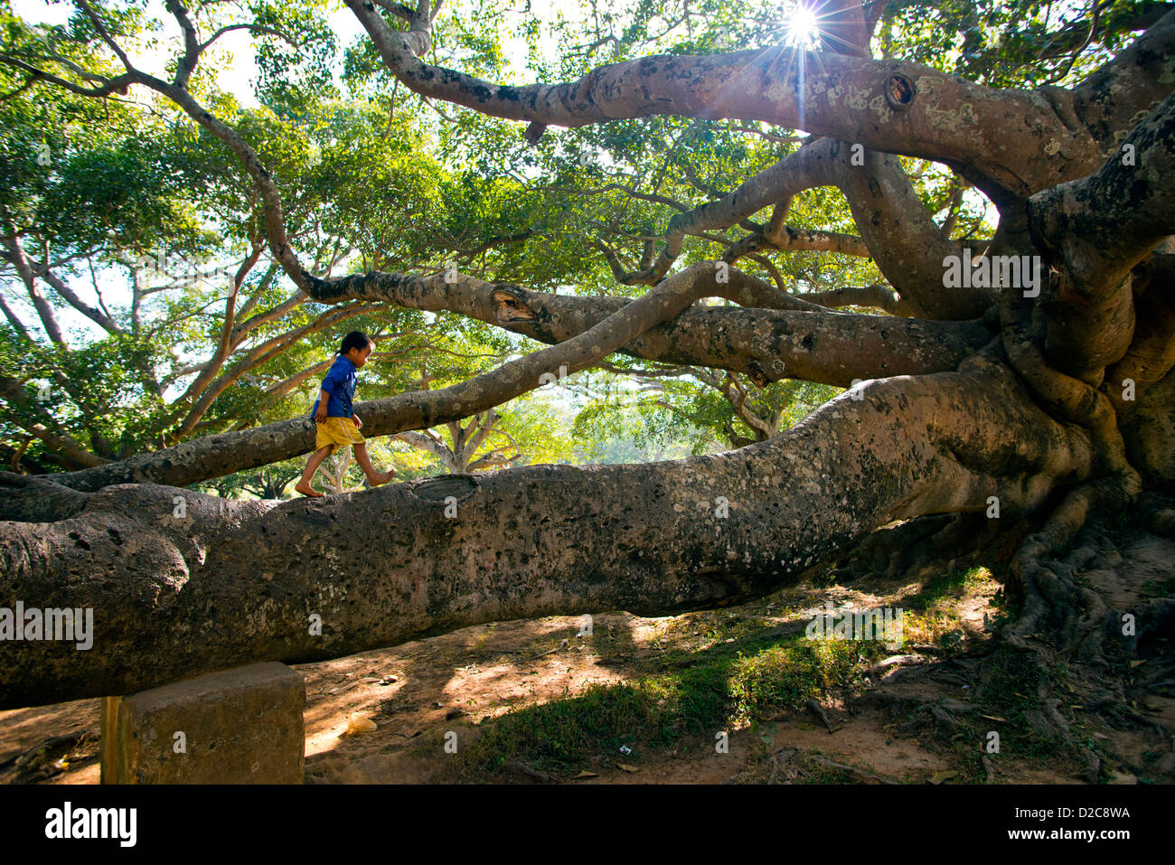Giant boy hi-res stock photography and images - Alamy