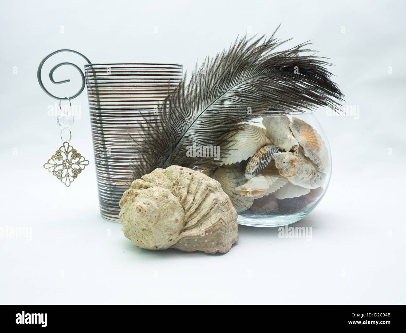 Ostrich shell hi-res stock photography and images - Alamy