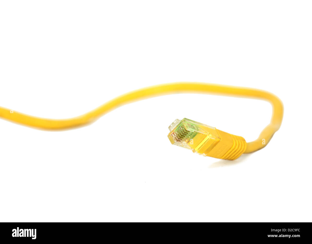 Yellow network cable on white background Stock Photo - Alamy