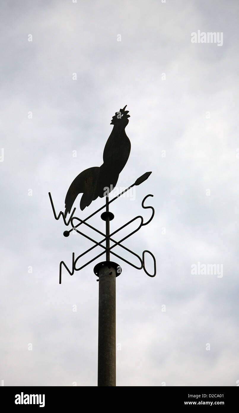 Verden, Germany, the silhouette of a weather-cock Stock Photo - Alamy
