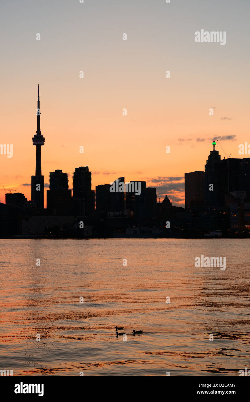 Toronto city skyline silhouette hi-res stock photography and images - Alamy