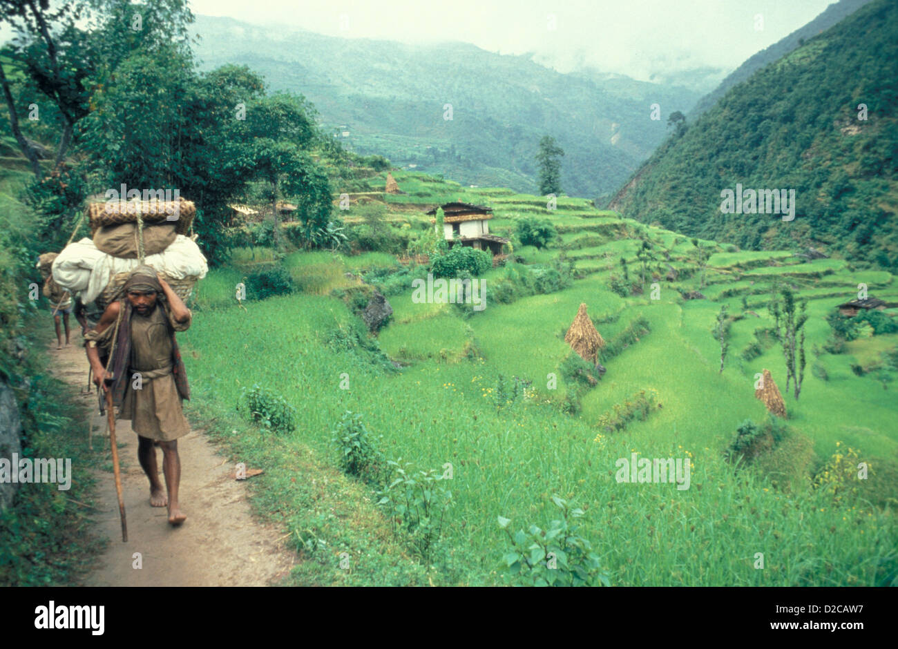 Black porter hi-res stock photography and images - Alamy