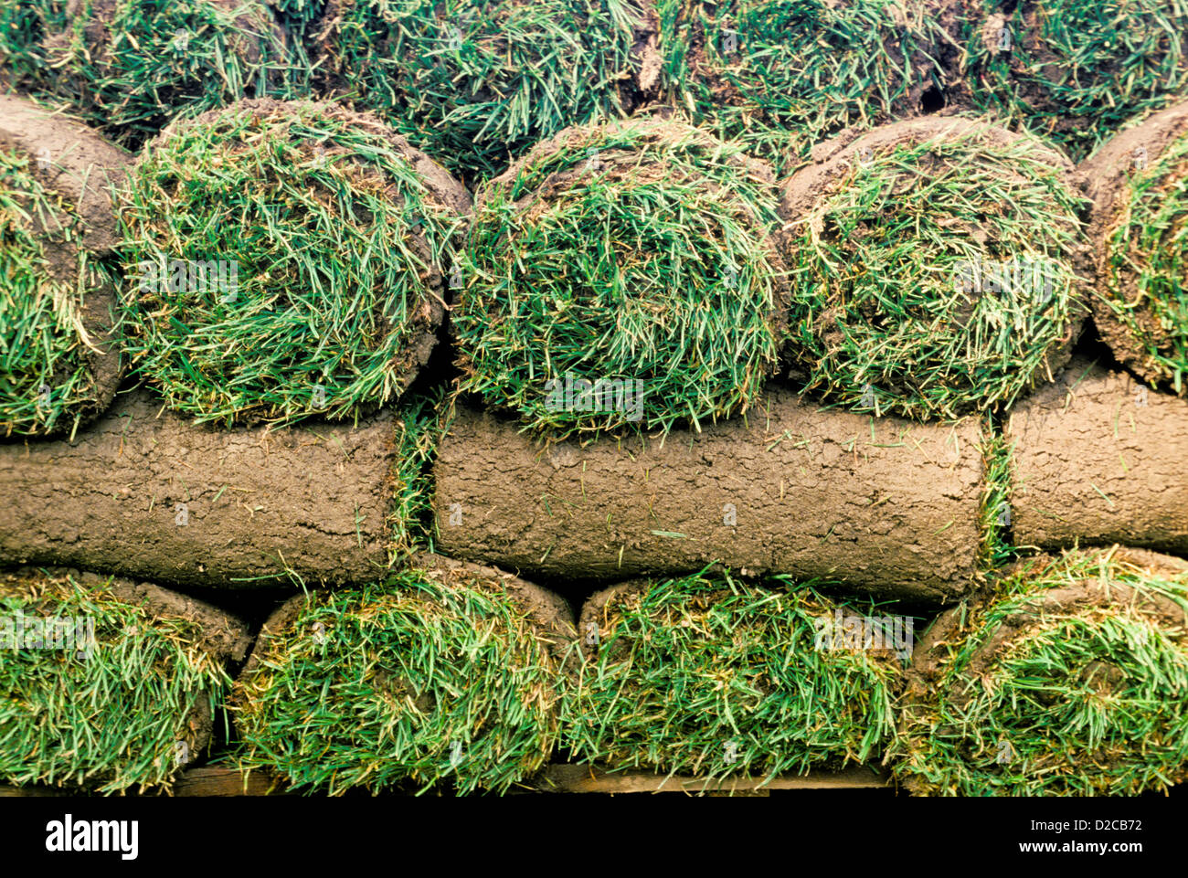 Grasses, Rolls Of Turf Stock Photo - Alamy