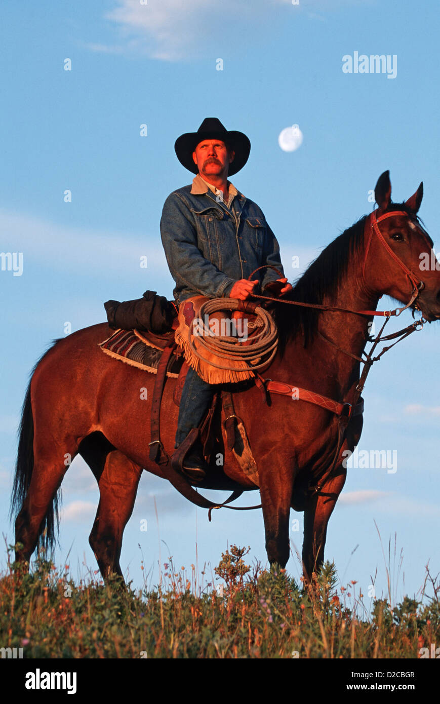 Horse horseback hi-res stock photography and images - Alamy