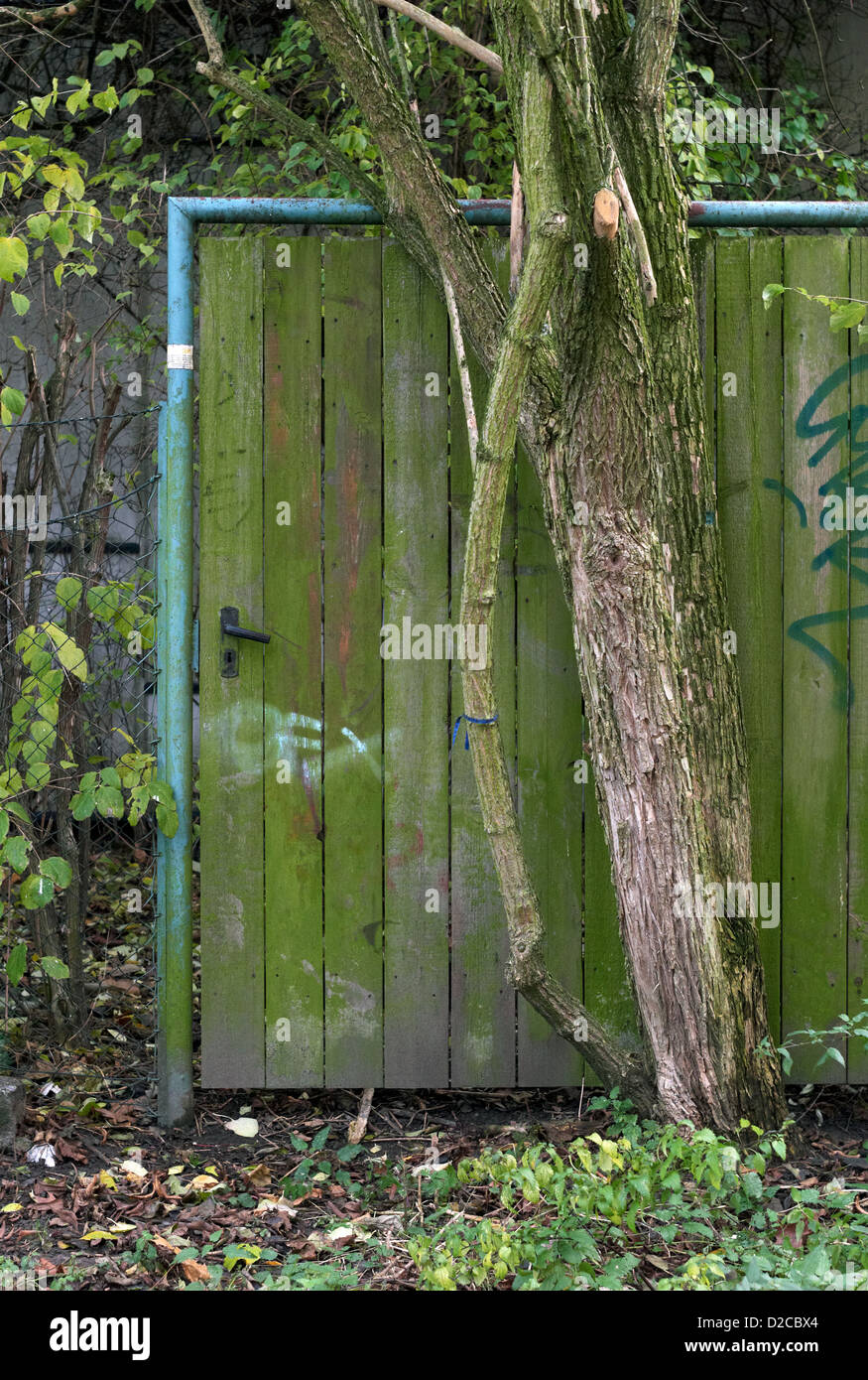 Berlin, Germany, a tree grows in front of a Gartentuer Stock Photo - Alamy