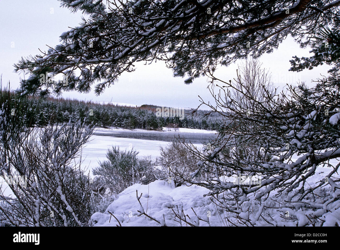 Loch tarland hi-res stock photography and images - Alamy
