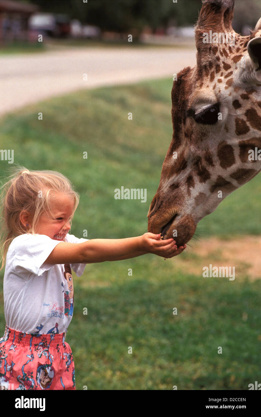 Children feeding animals hi-res stock photography and images - Alamy