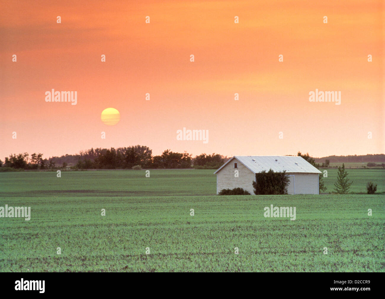 Barn black white hi-res stock photography and images - Alamy