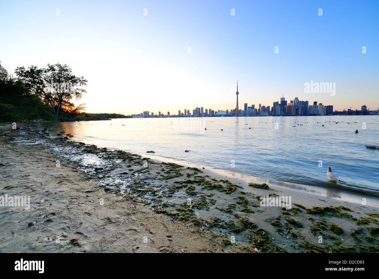 Toronto skyline in the day over lake with urban architecture Stock ...