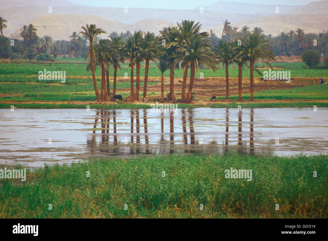Egypt landscape nile hi-res stock photography and images - Alamy