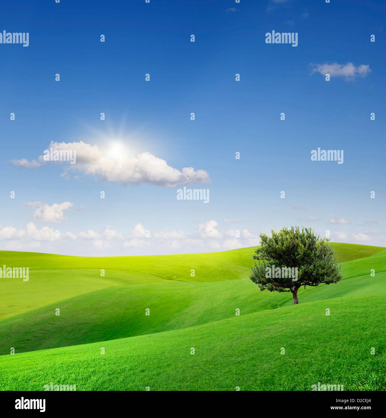 Field green grass perfect sky hi-res stock photography and images - Alamy