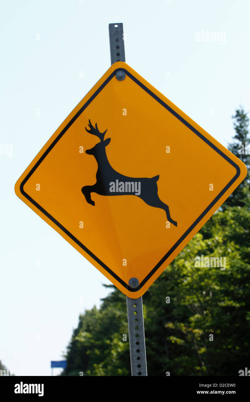 A yellow caution road sign warning of deer running across the highway ...