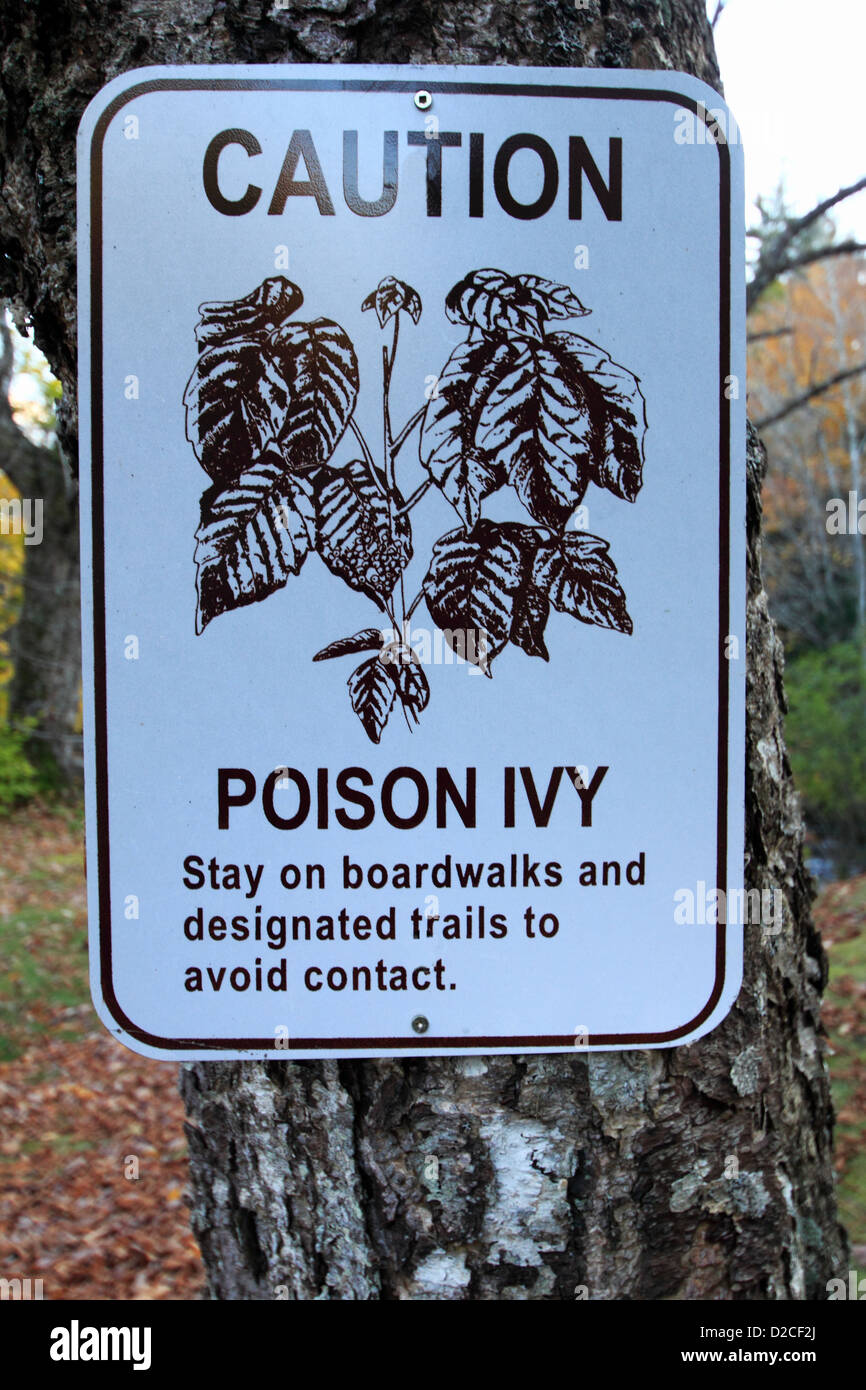 a caution poison ivy sign warning attached to a tree Stock Photo - Alamy