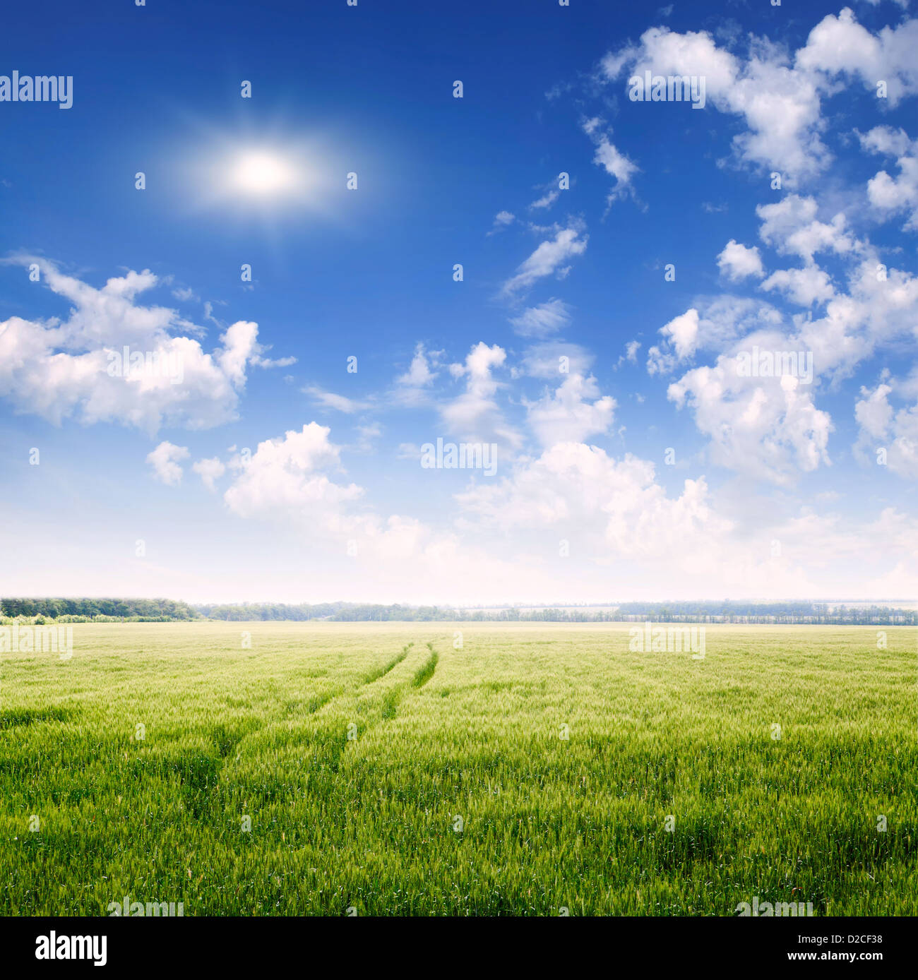 spring field and blue sky Stock Photo - Alamy