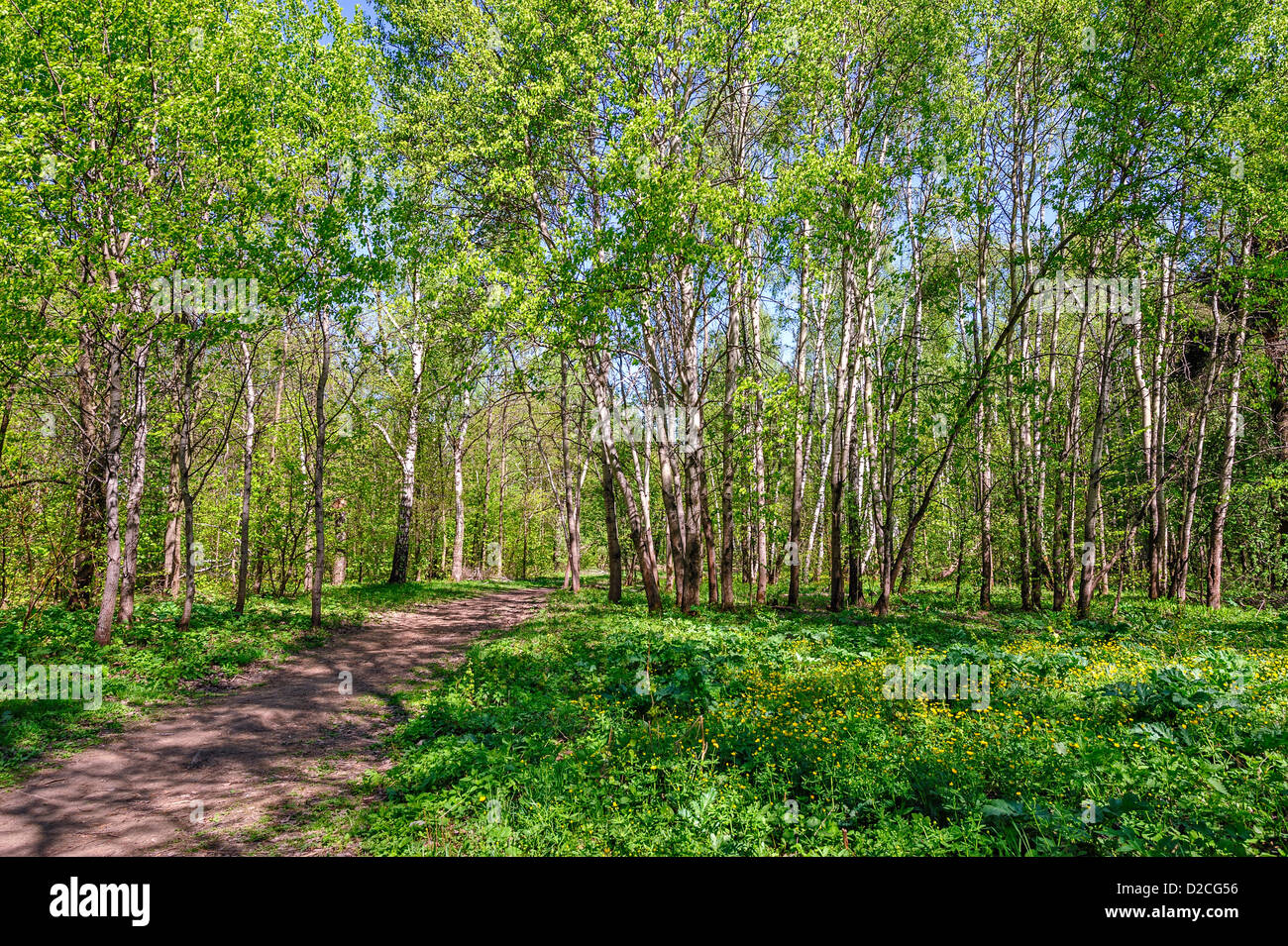 Tranquil glade hi-res stock photography and images - Alamy