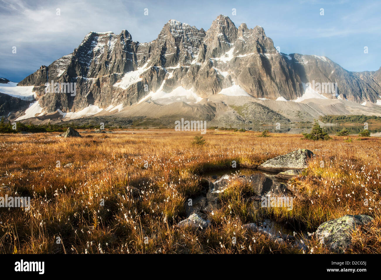 Tonquin valley jasper national park hi-res stock photography and images ...