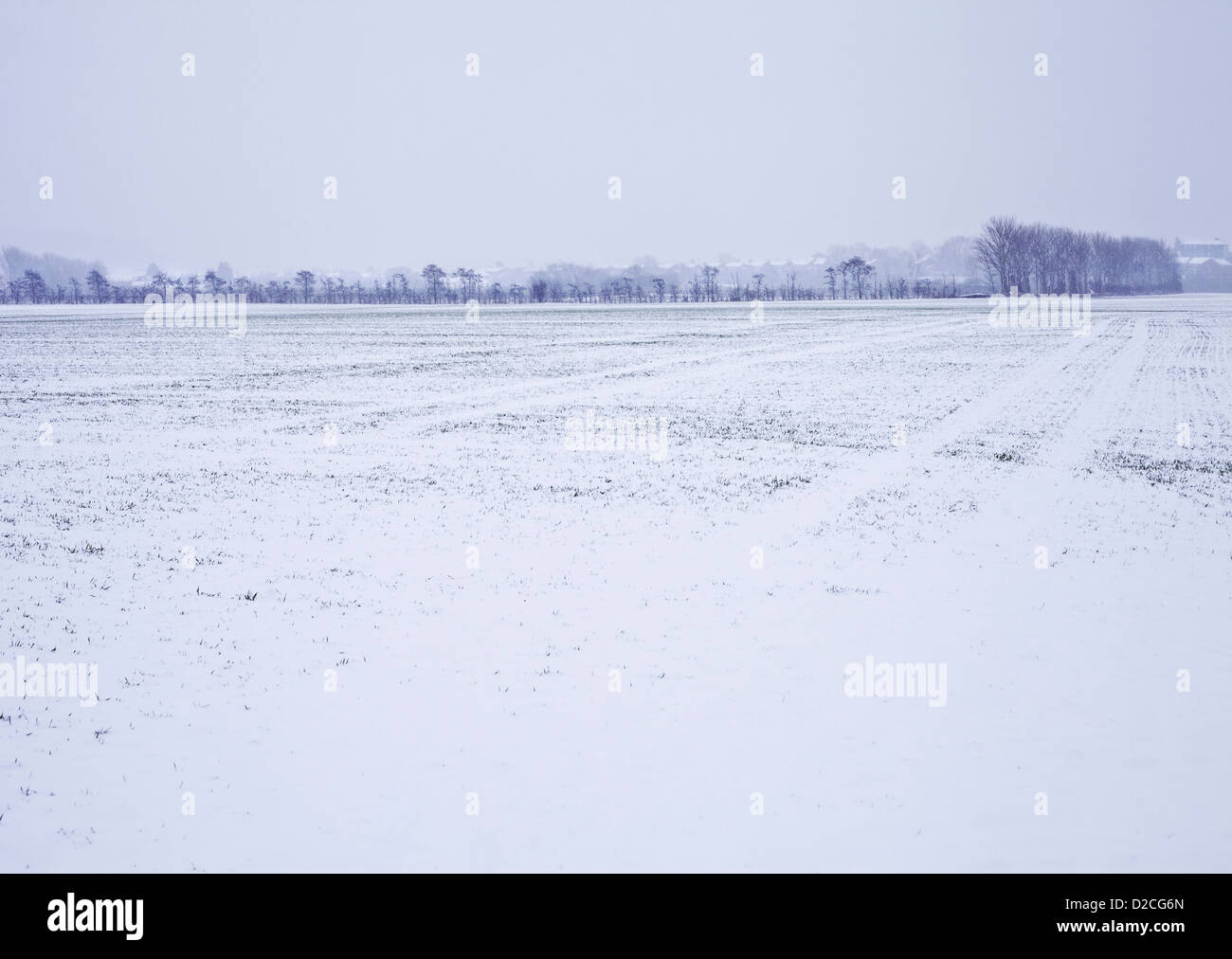 Snowy field hi-res stock photography and images - Alamy