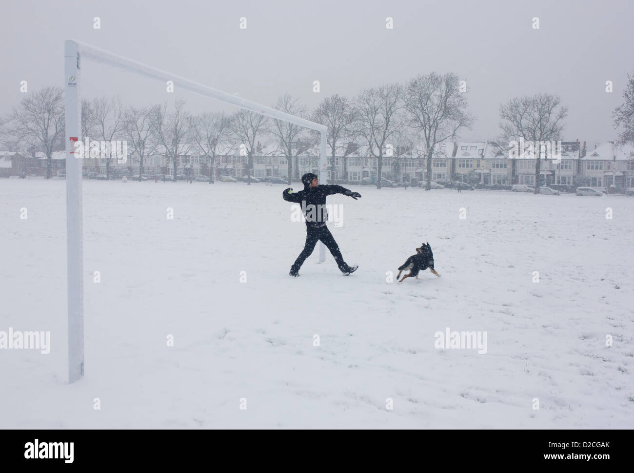 Ball throwing stick hi-res stock photography and images - Alamy