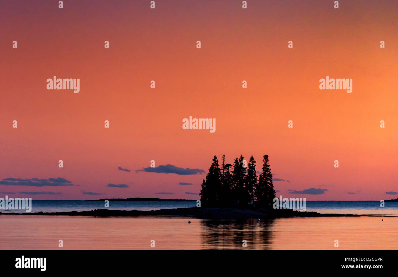 Small coastal island with spruce trees, Port Clyde, Maine, USA Stock ...