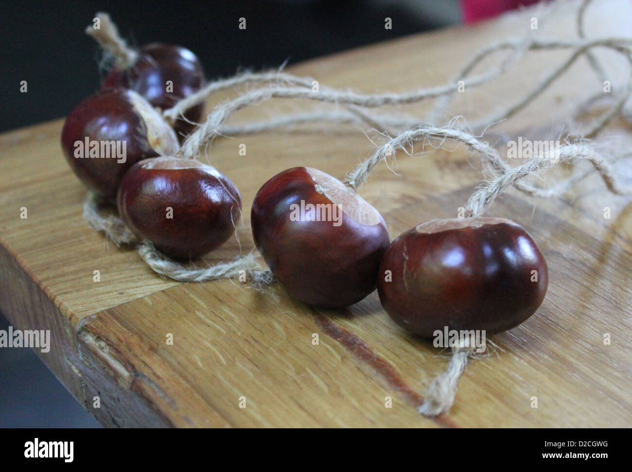 Conker String High Resolution Stock Photography and Images - Alamy