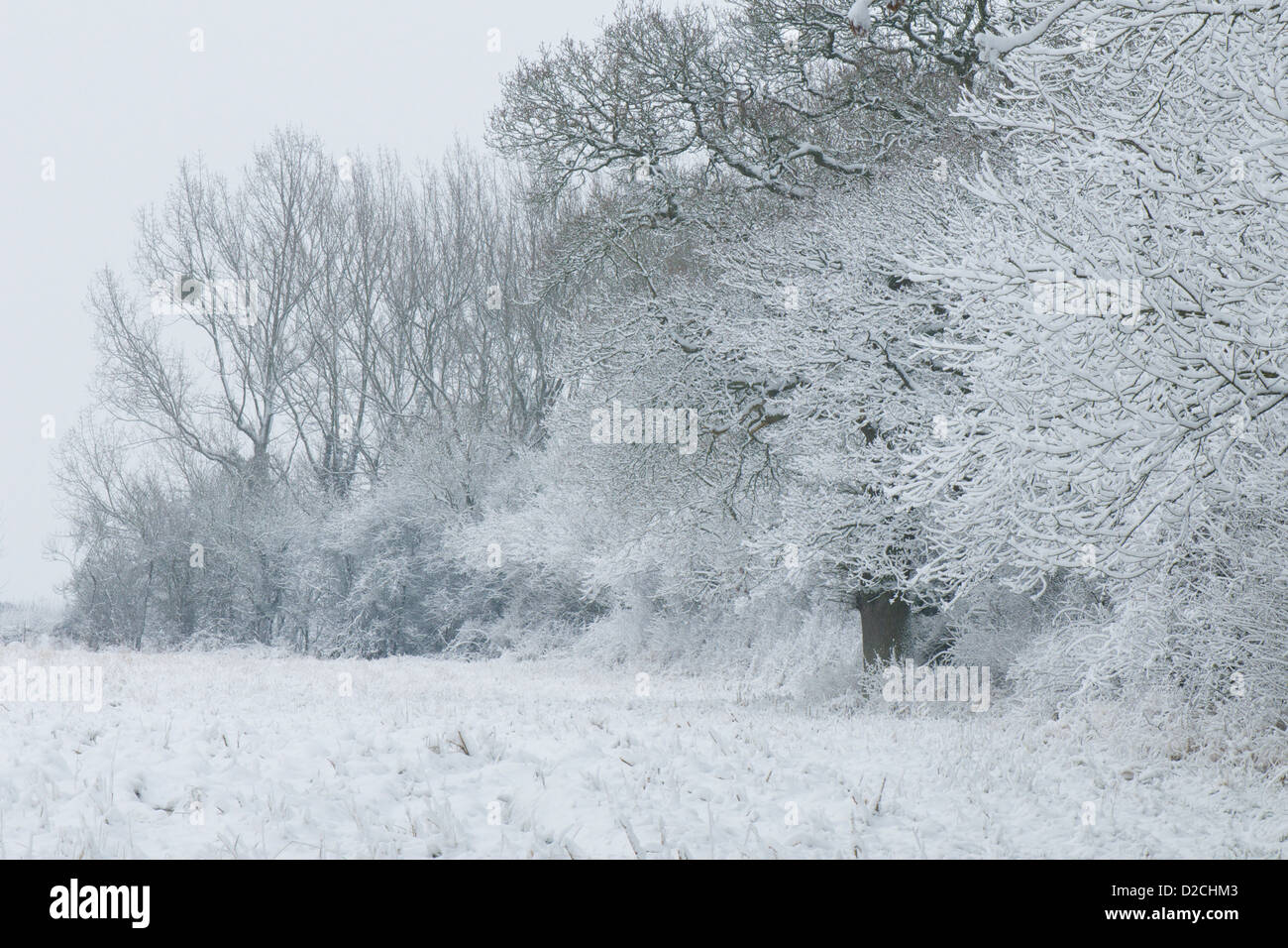 Horizontal format january hi-res stock photography and images - Alamy