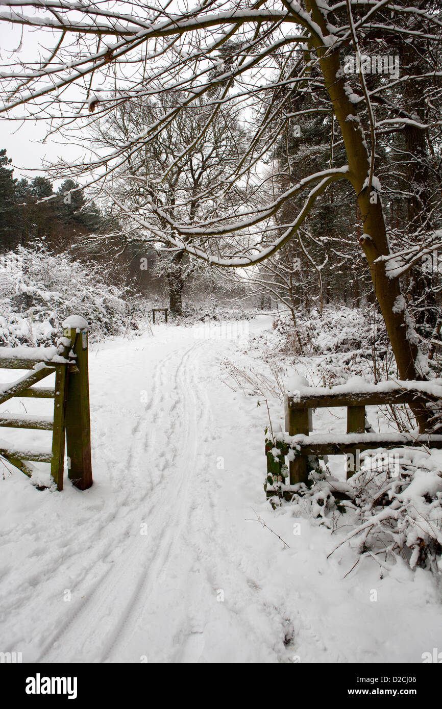 Snowy track and Gate Stock Photo - Alamy