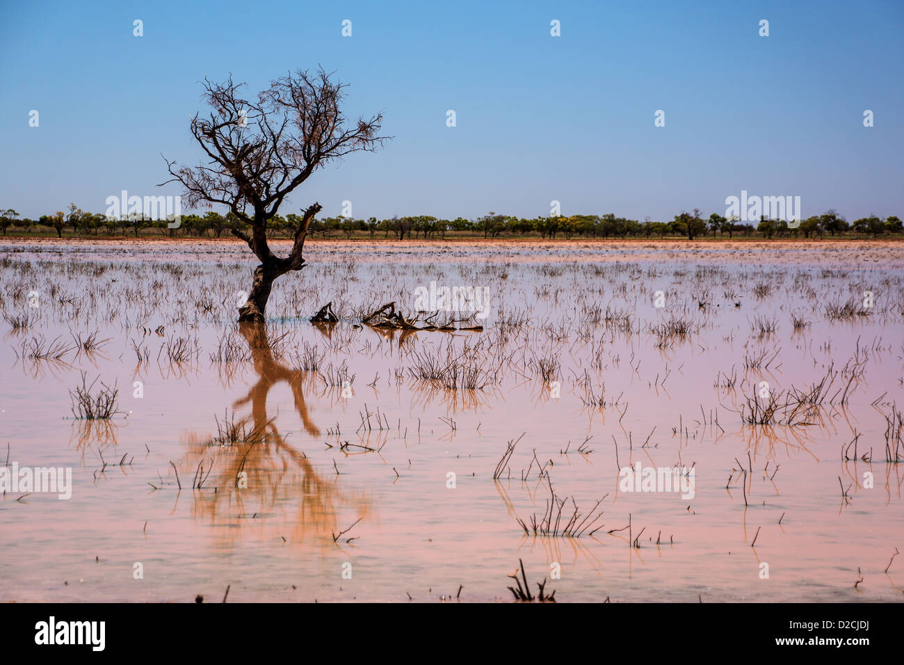 Flood flooded outback australia hi-res stock photography and images - Alamy