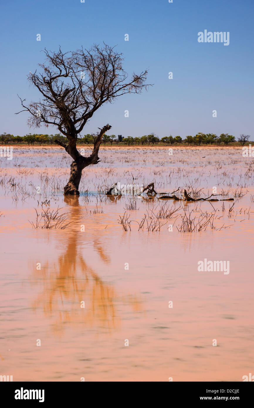Flood flooded outback australia hi-res stock photography and images - Alamy