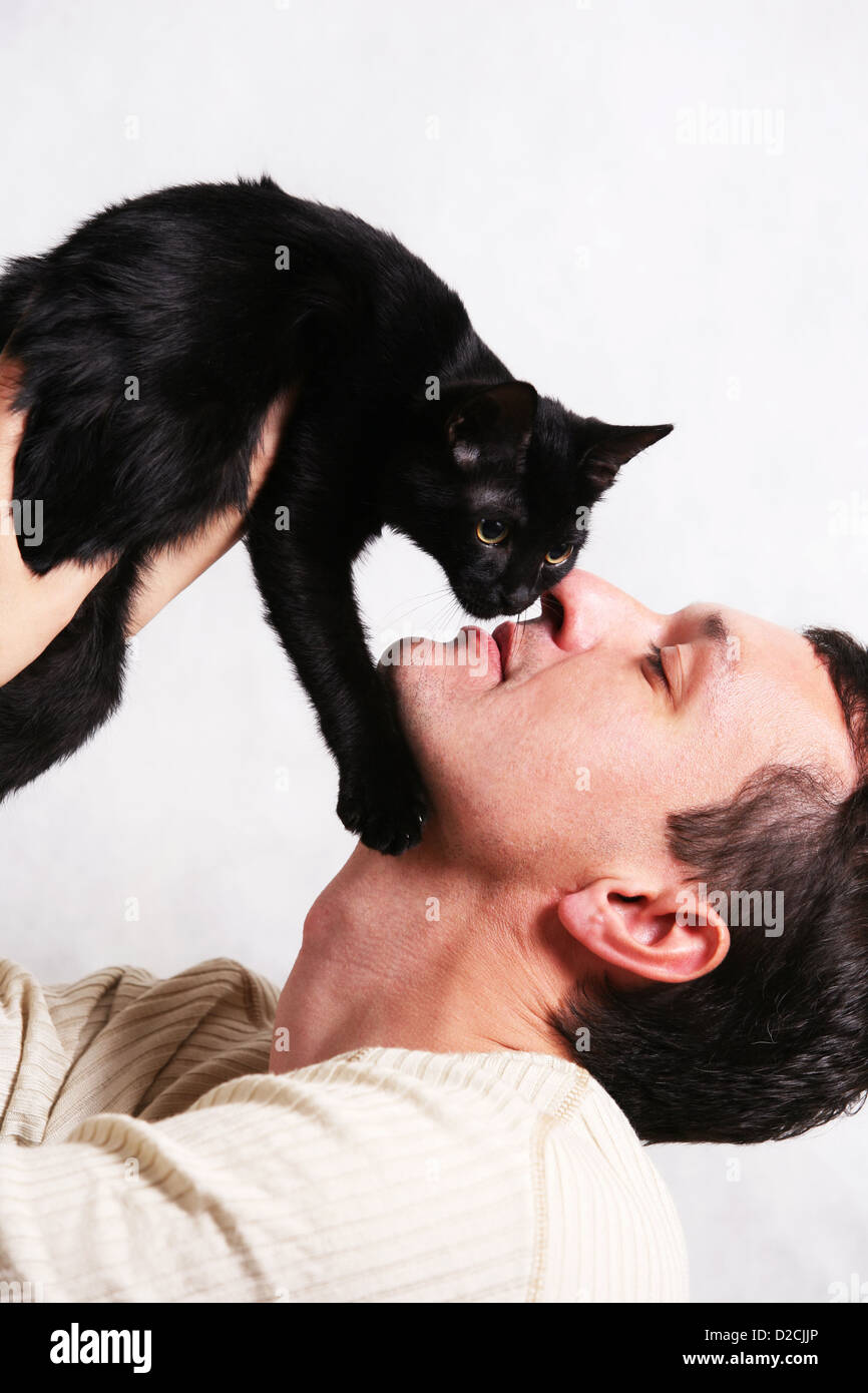 Man covers a kitten on a white background Stock Photo - Alamy