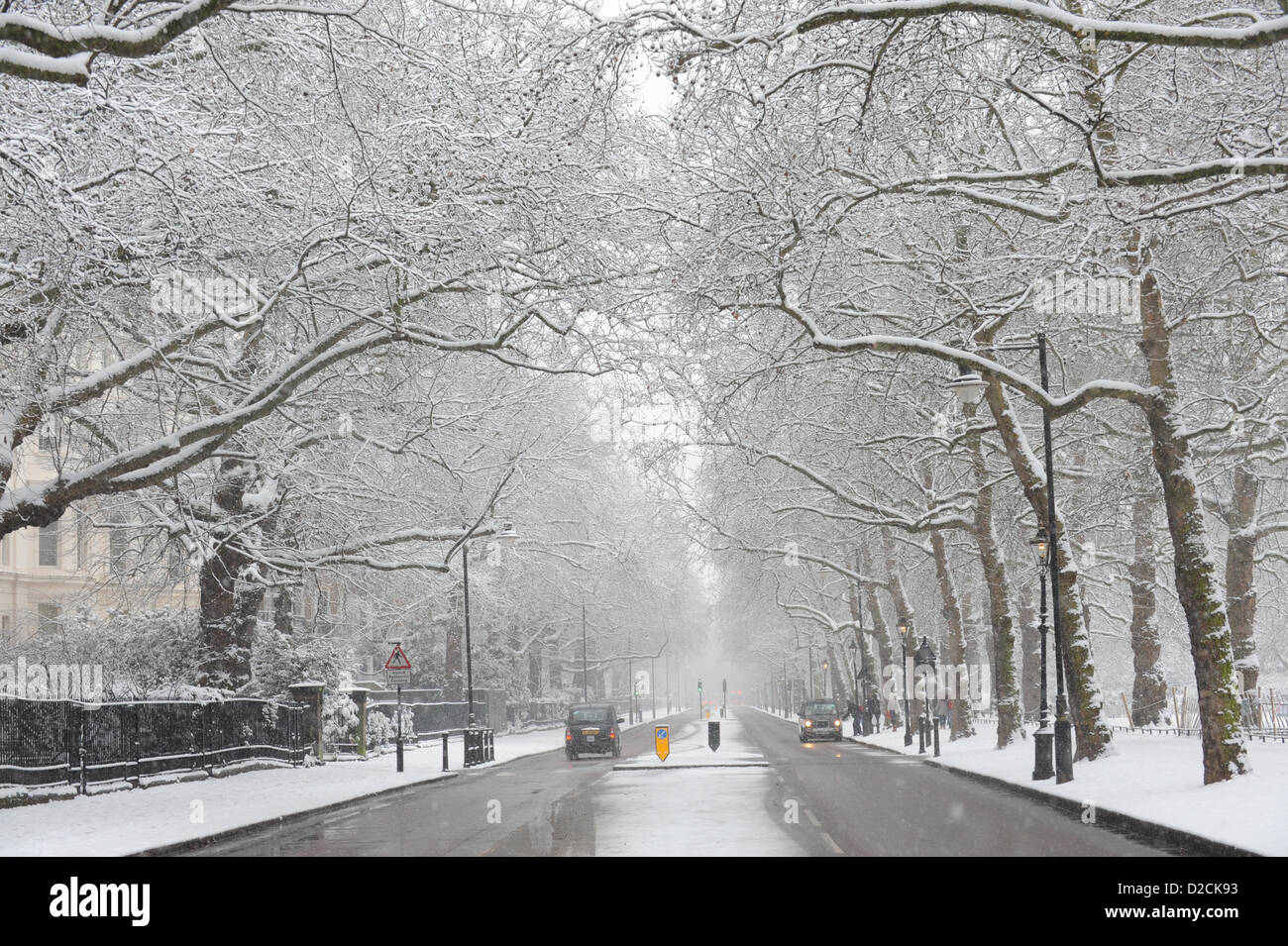 Birdcage Walk, London, UK. 20th January 2013. Trees covered in snow on ...