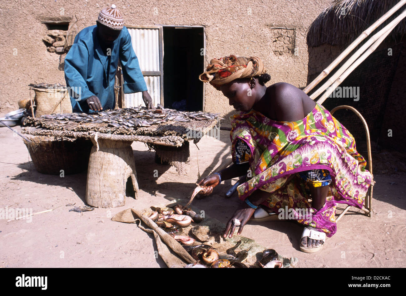 In Mali, Africa, a fisherman and his wife dry locally caught fish ready ...