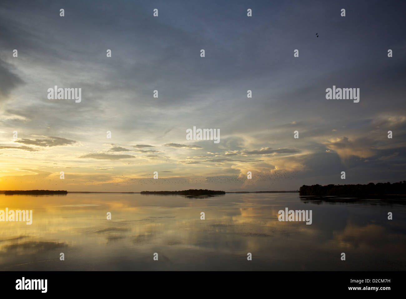 Serene Amazon River sunset with golden and gray hues, tranquil ...