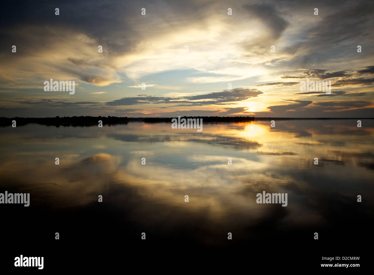 Amazon vines hi-res stock photography and images - Alamy