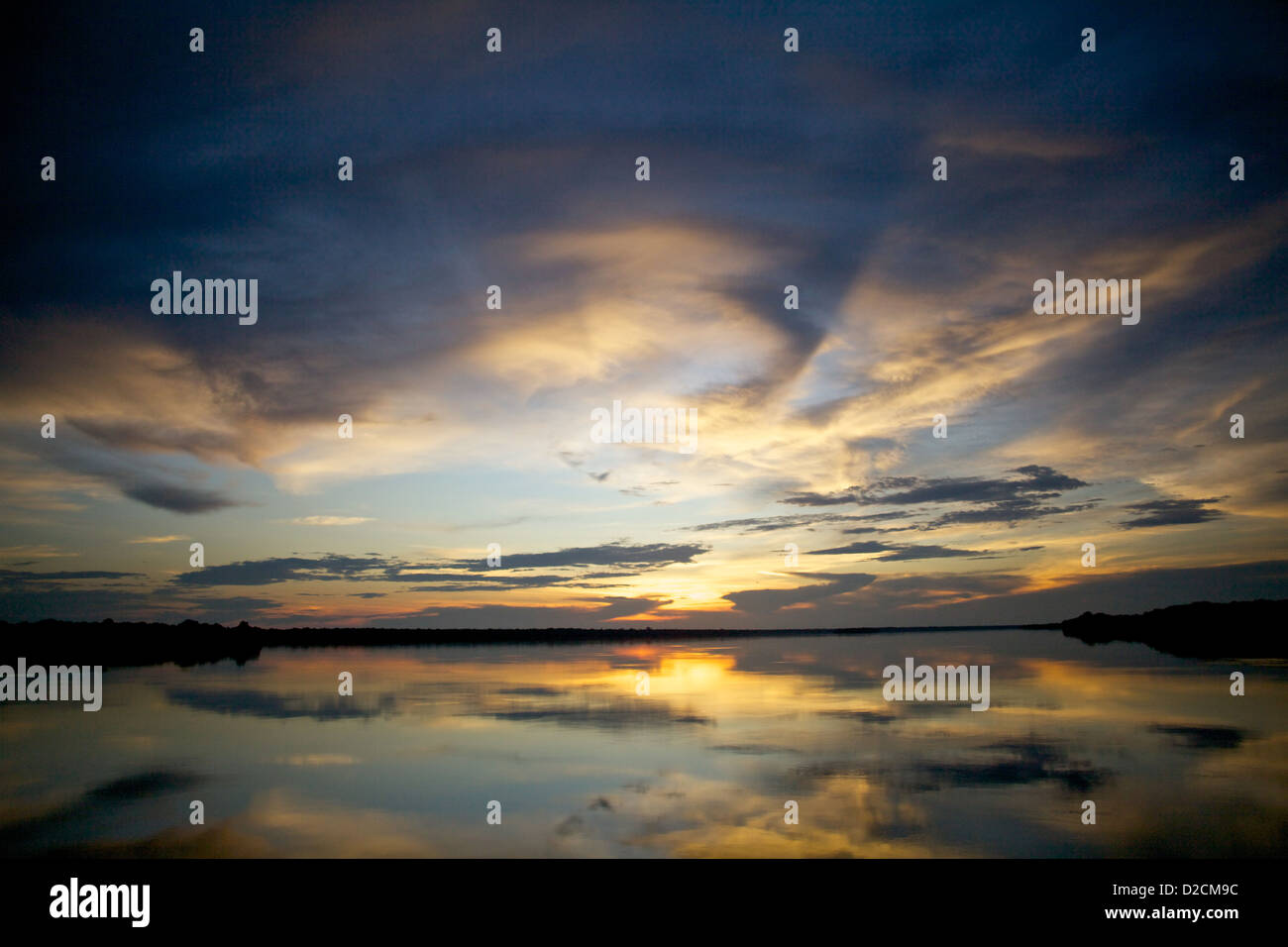 Amazon vines hi-res stock photography and images - Alamy