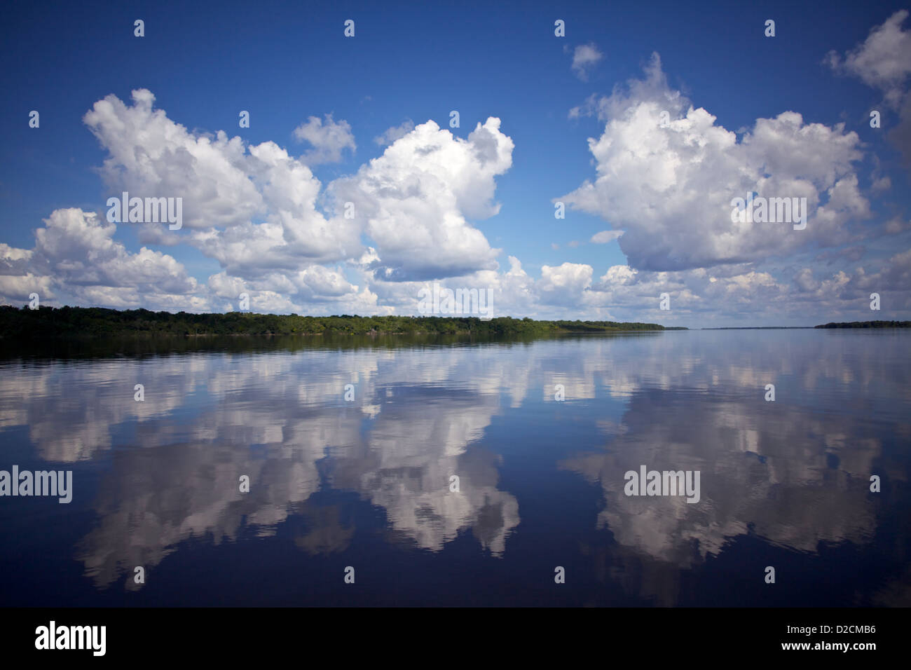 Towering cumulus cloud reflected on still Amazon River waters during ...
